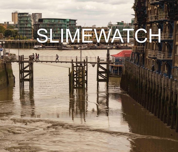 SLIMEWATCH - The British Phycological Society