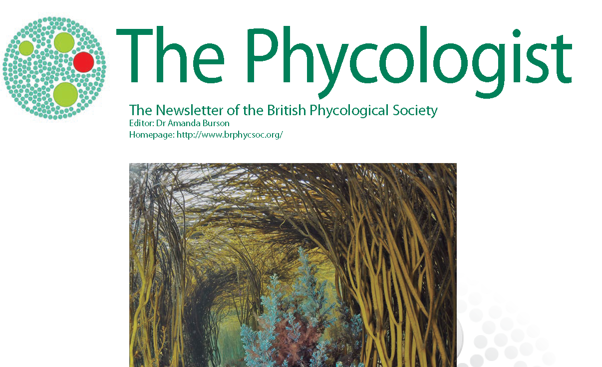 Just out! The Phycologist 99 - Autumn 2020 - The British Phycological ...